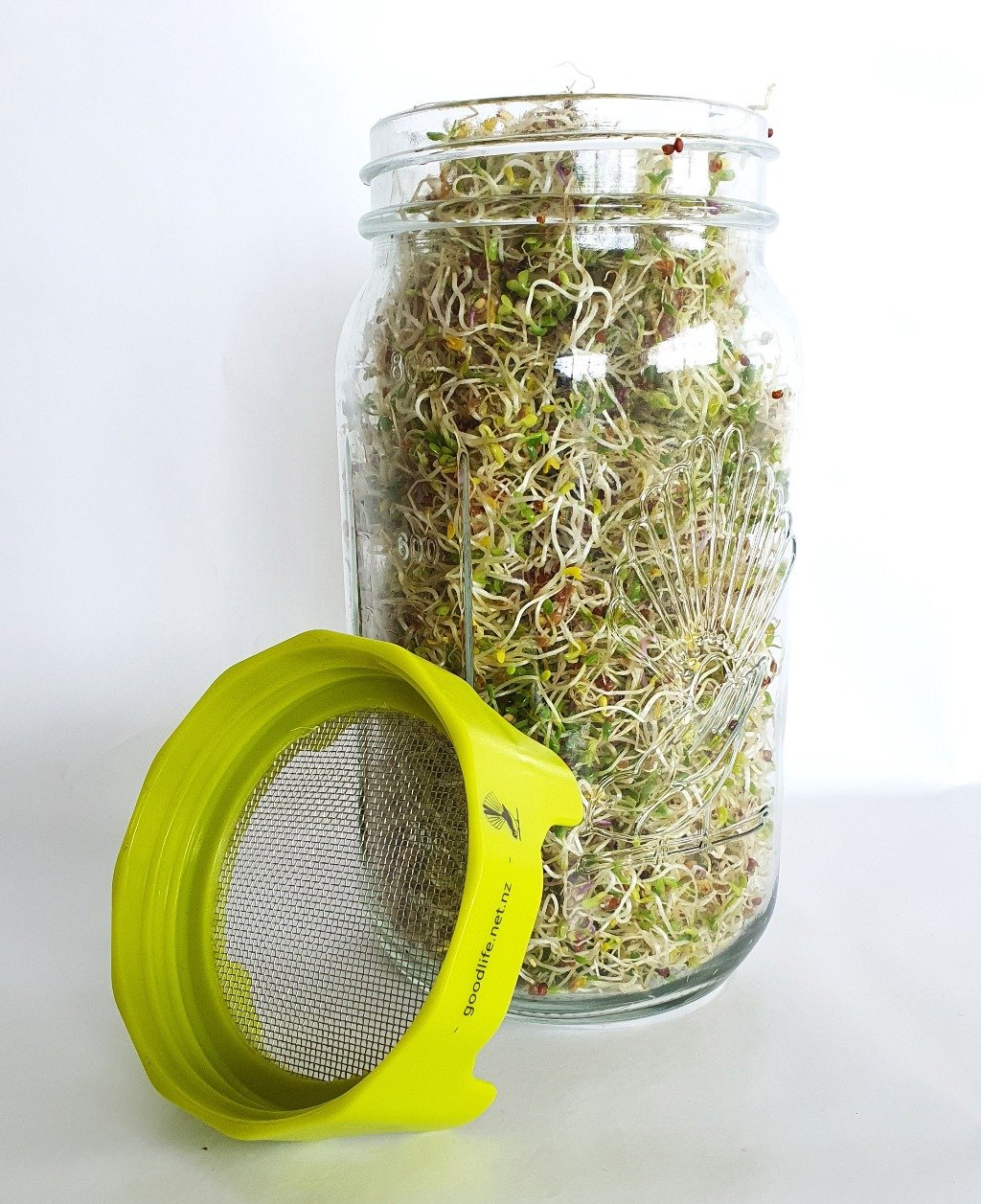 Sprouting Jar Kit | Bird Cages NZ
